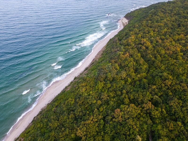 Aerial View of a Beautiful Beach with a Forest and Sand. Stock Image ...