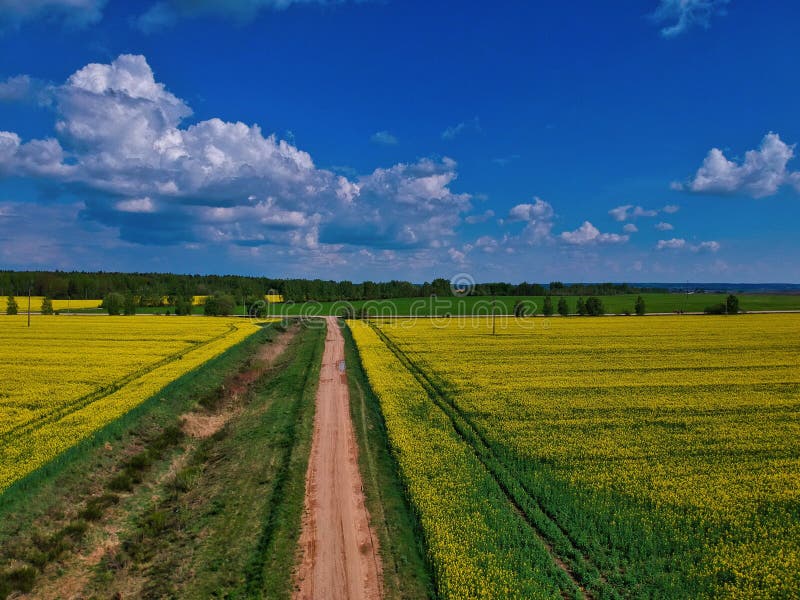 3,879 Beautiful Landscape Belarus Countryside Stock Photos - Free ...