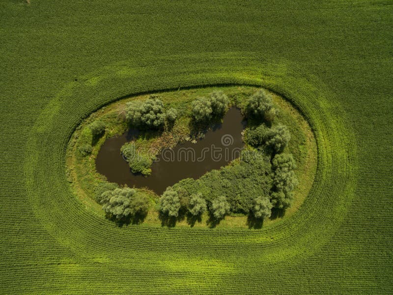 Aerial View of Beautiful Green Agricultural Fields Wit a Smal Lake ... Aerial View of Beautiful Green Agricultural Fields Wit a Smal Lake ...