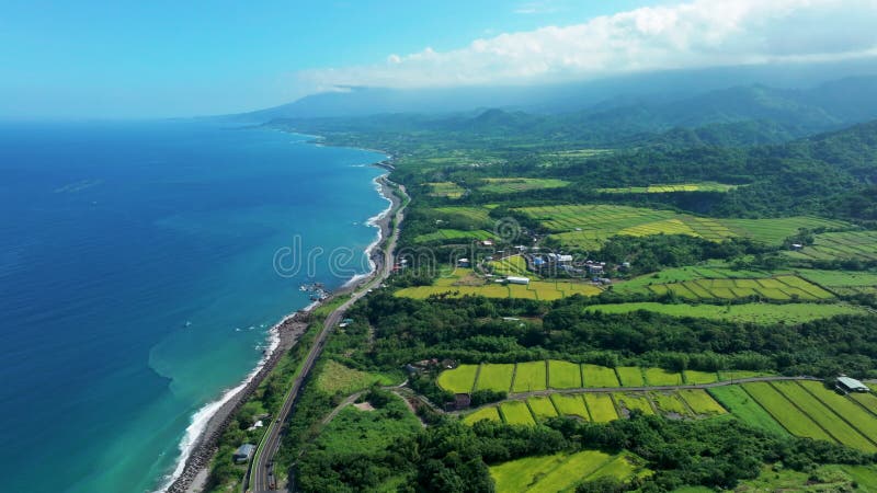 Aerial View of Beautiful Paddy Field,Taiwan. Stock Video - Video of ...