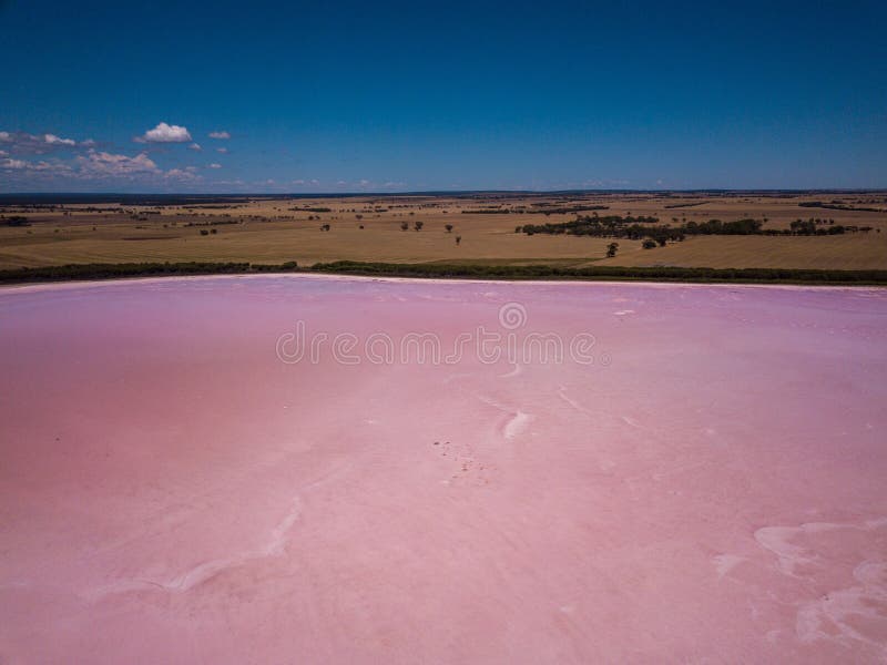 Aerial View of a Beautiful Pink Lake Stock Image - Image of nature ...