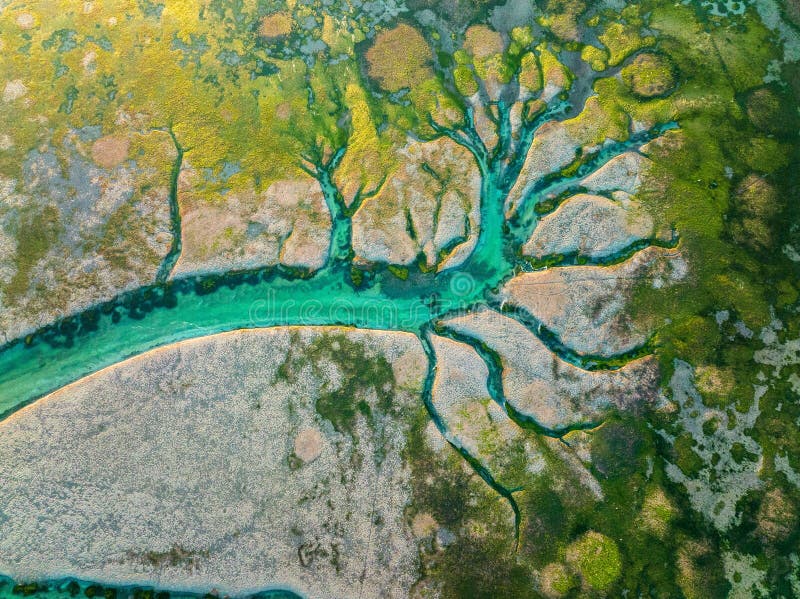 Aerial View of the Beautiful River Delta in the Shape of a Tree. Stock ...