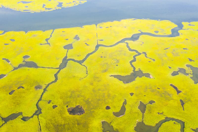 Aerial View of Beautiful Salt Marsh on Cape Cod Stock Image - Image of ...