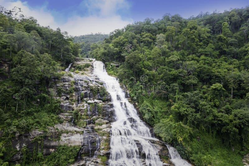 Aerial View of a Beautiful of Waterfall in the Jungle Background Stock ...