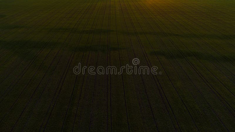 Aerial View of a Big Green Field Stock Image - Image of harvest ...