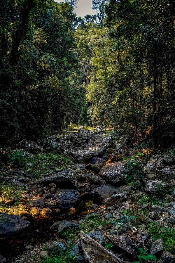 Aerial View of Big Rocks Surrounded by Growing Lush Trees in Forest ...