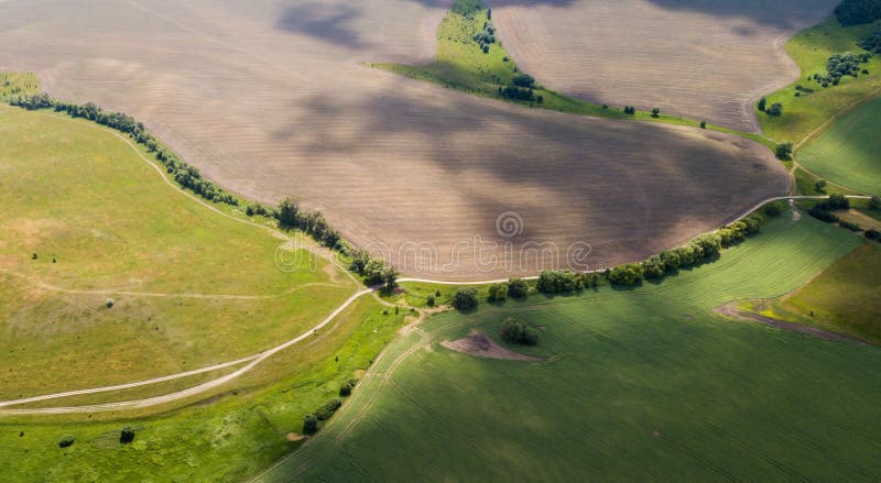 Aerial View of a Bird on the Field Stock Image - Image of aerial ...
