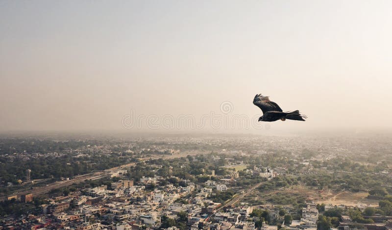 Aerial View of a Bird Flying Over Agra City Stock Photo - Image of ...
