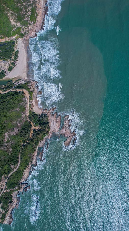 Aerial View of a Blue Ocean and Lush Green Trees in Summer Stock Photo ...