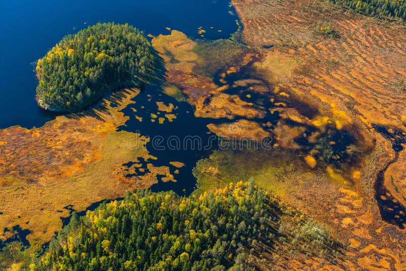 Aerial View of Bog, Lake and Trees Stock Image - Image of agricultural ...