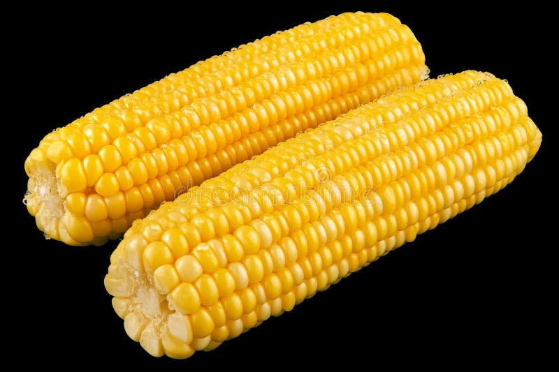 An Aerial View of Boiled Corn with Water Drops on the Top. Stock Photo ...