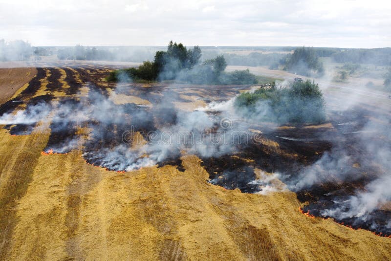 Aerial View of Burning Field with Smoke Stock Photo - Image of ...
