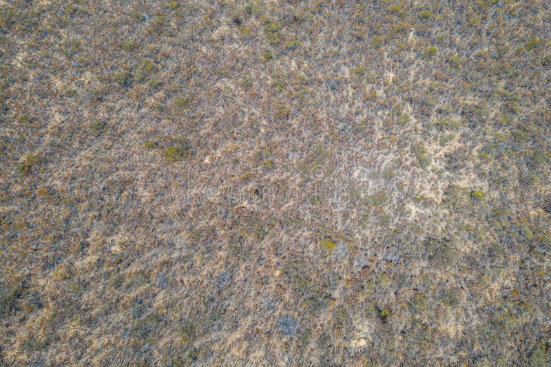 Aerial View of Bush in Western Australia Stock Photo - Image of perth ...