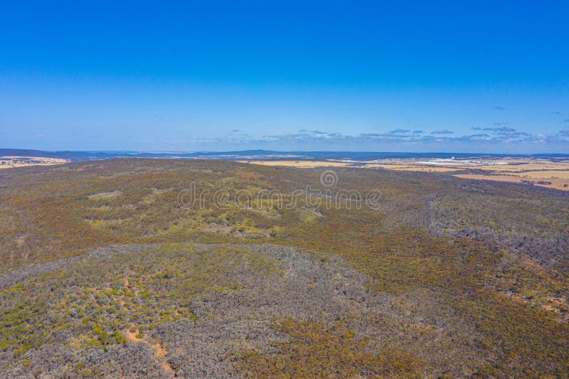 Aerial View of Bush in Western Australia Stock Photo - Image of black ...