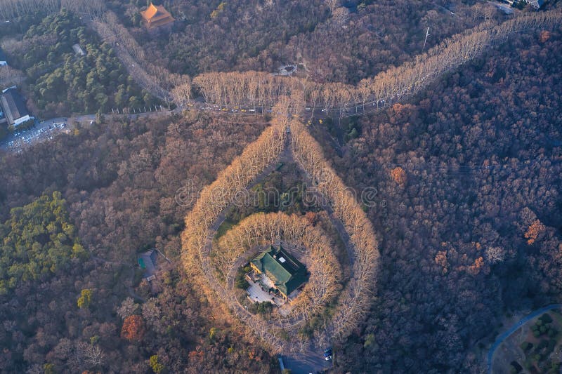 Unique Arial View of a Park Featuring a Tree-lined Pathway and a ...