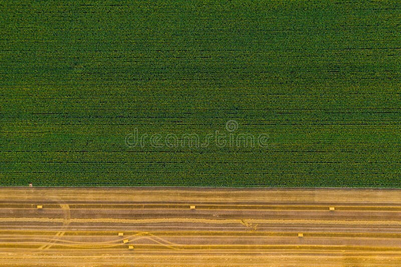 Tractor Tread Marks in Dried Mud Stock Image - Image of tire, dirt ...