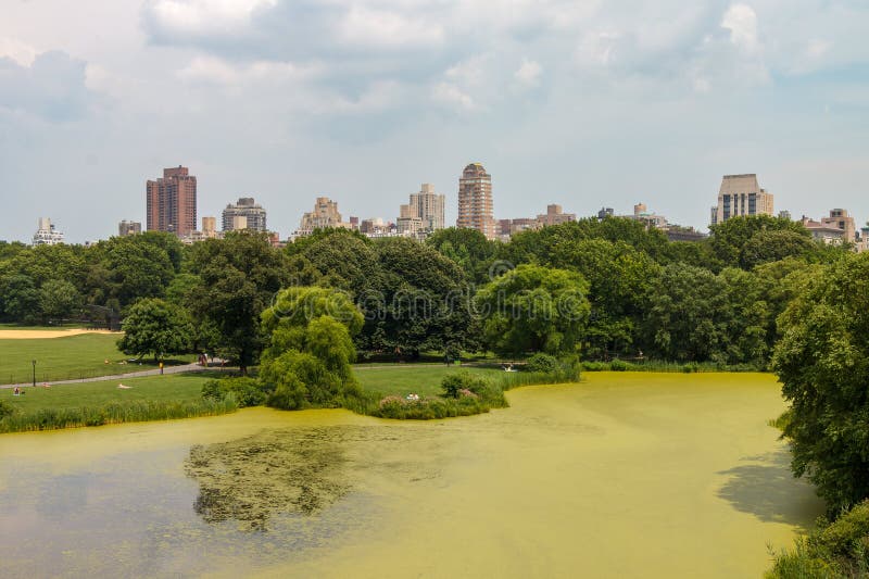Aerial View of City with Small Bushes Below Editorial Stock Image ...