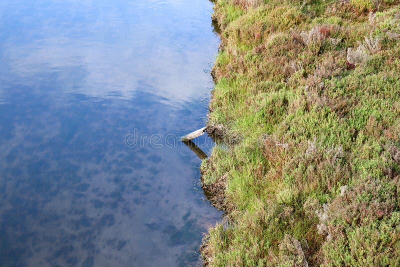 Aerial View of a Coastal River and the Bank Stock Image - Image of ...