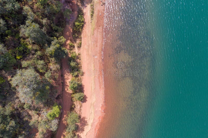 Aerial View of a Coastline with Trees on the Beach Stock Image - Image ...