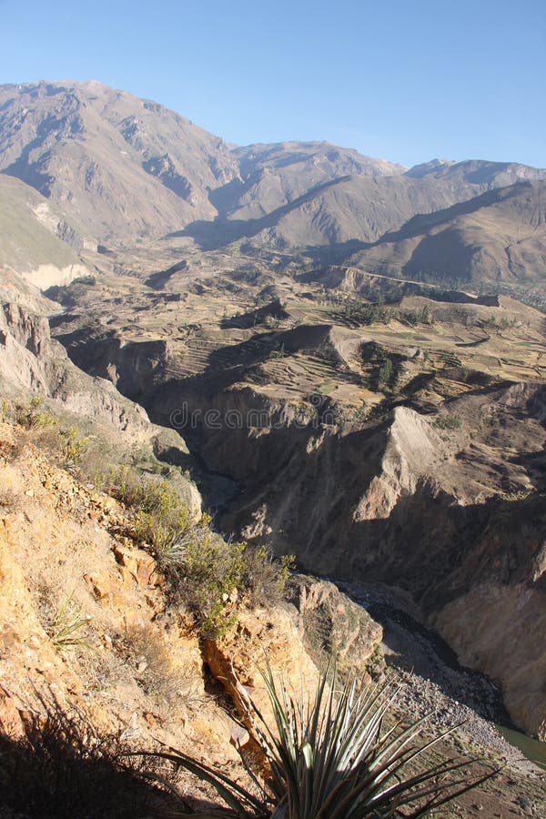 An Aerial View of the Colca Canyon Stock Photo - Image of peru, outdoor ...