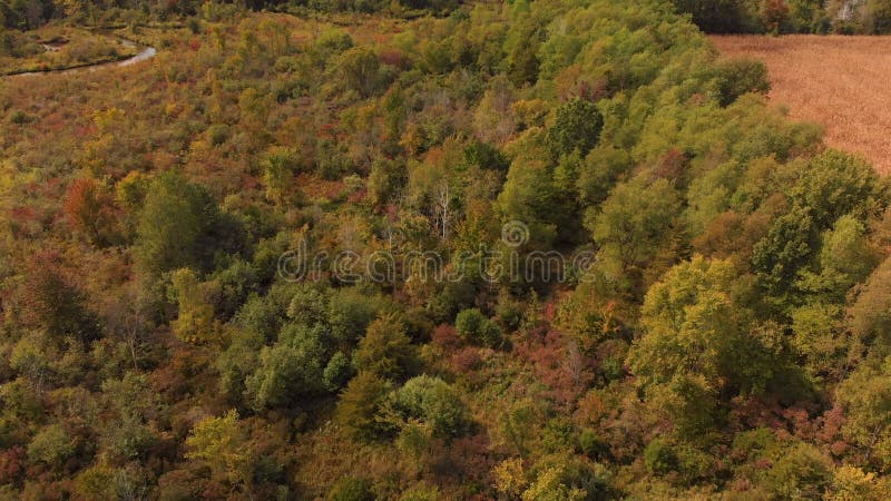 Aerial View of Colorful Autumn Trees. Colorful Fall Landscape Stock ...