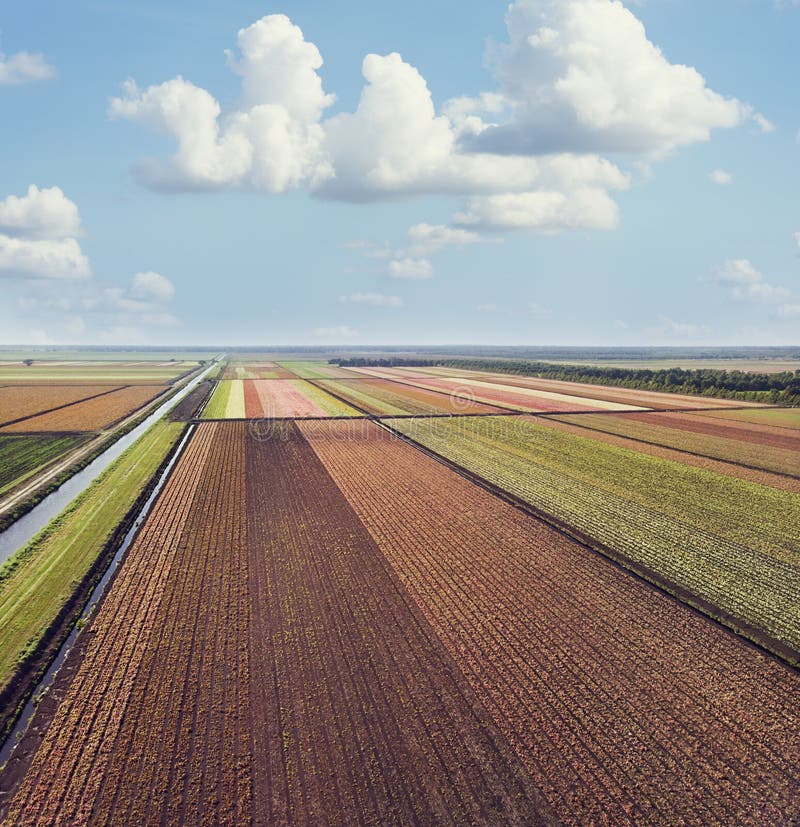 Aerial view of farm fields stock image. Image of green - 3938199