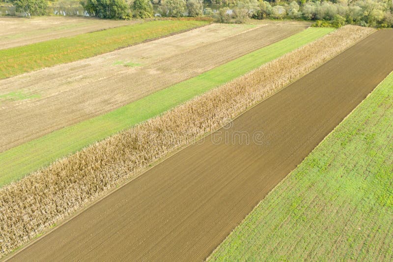 Aerial View of Colorful Farmland with Patchwork Cultivation Showcasing ...