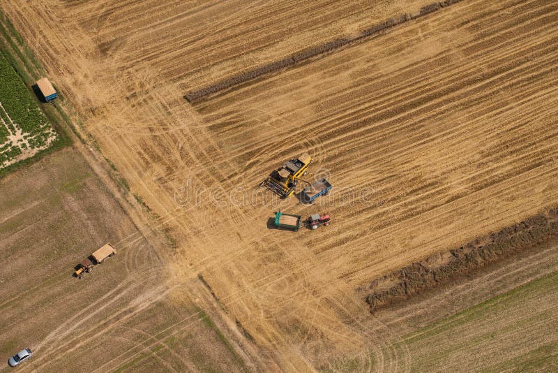 Aerial View of Combine on Harvest Field Stock Photo - Image of ground ...