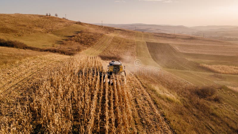 Aerial View of Combine Harvesting at Sunset Stock Image - Image of ...