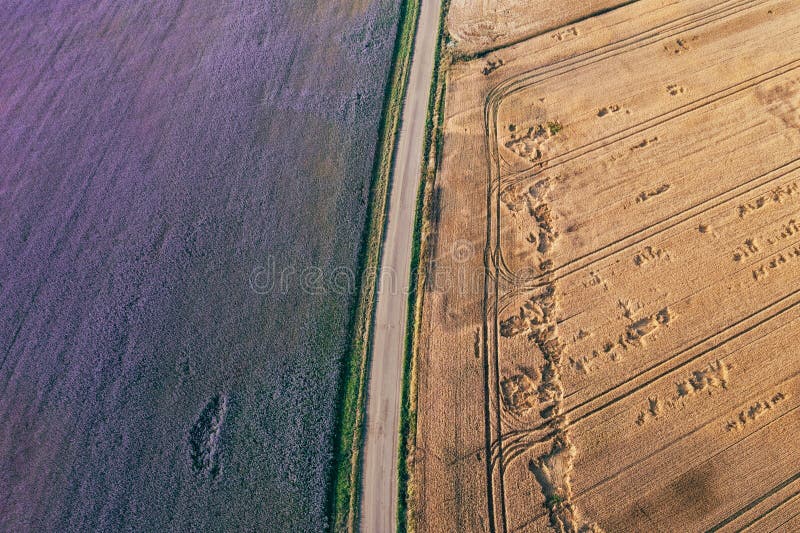 Aerial View Country Road with Violet Fields in Finland Stock Image ...