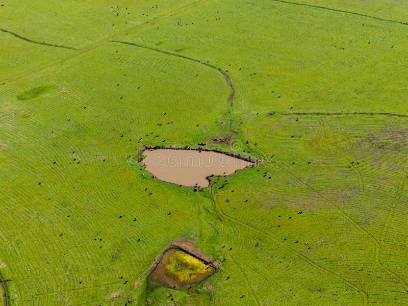 Land Prepared for Agriculture, Aerial View Stock Photo - Image of ...