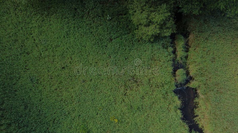 Aerial View of a Forest Creek Stock Image - Image of scenic, soothing ...