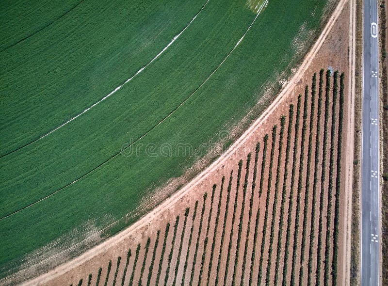 Aerial View of Crop Field with Circular Pivot Irrigation Sprinkler ...