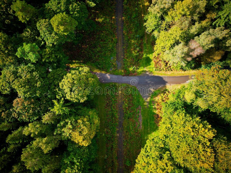 Aerial View of Crossing Trails in the Forest Stock Image - Image of ...