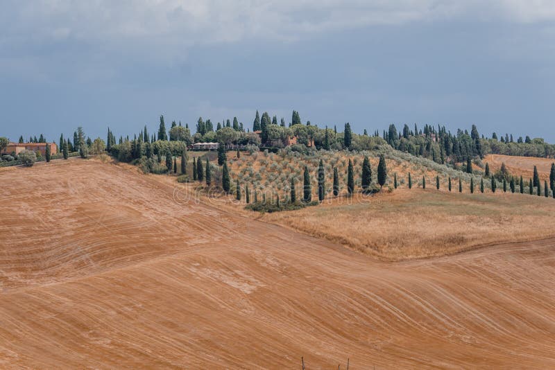 Aerial View of Cultivated Brown Fields in the Tuscany Countryside Stock ...