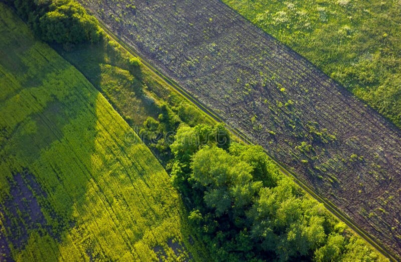 Aerial View of Cultivated Field from Drone Pov, Top View Stock Photo ...