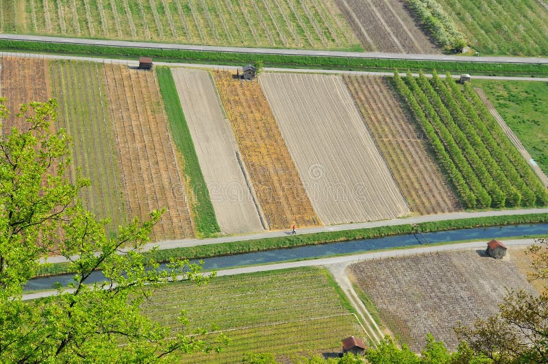 Aerial View of Cultivated Fields Stock Image - Image of straight ...