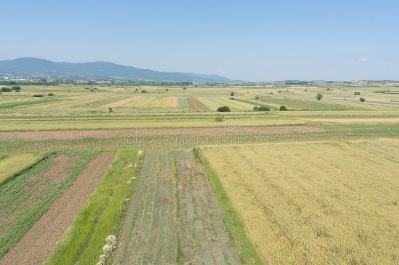 Aerial View of Cultivated Fields Stock Photo - Image of area ...