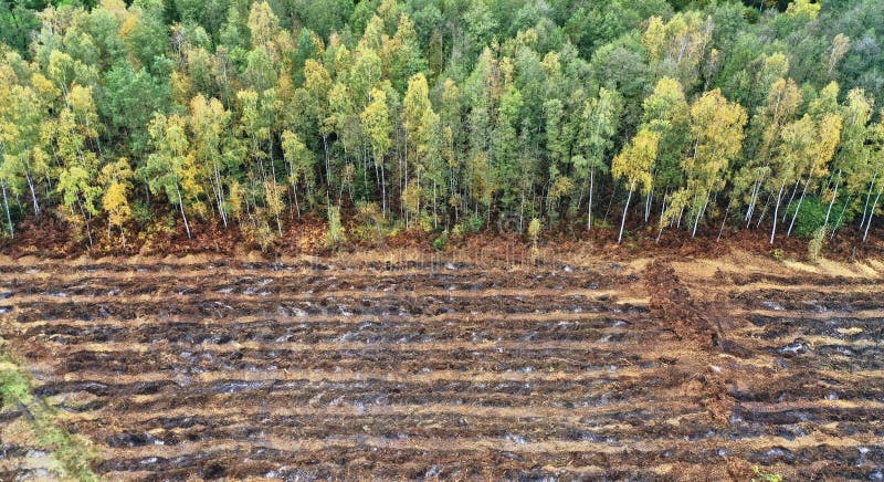 Aerial View of Deforestation Showing Environmental Damage in Autumn ...