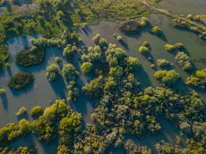 Aerial View with a Delta, an Ecosystem Full of Lakes and Green Willows ...