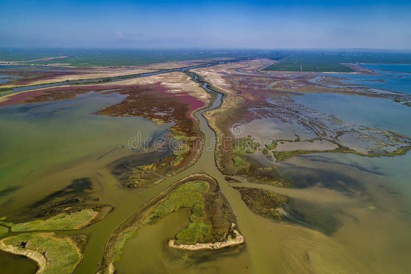 Axios Delta Park Greece Stock Photos - Free & Royalty-Free Stock Photos ...