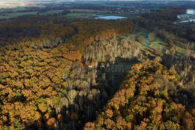 Aerial View of Dense Autumn Forest and Blue Sky Stock Image - Image of ...