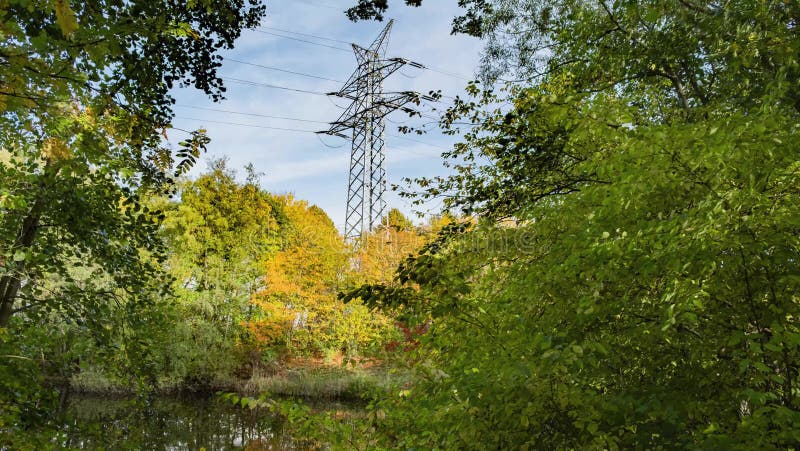 Aerial View of Dense Trees during Wind in Background of Power Lines ...