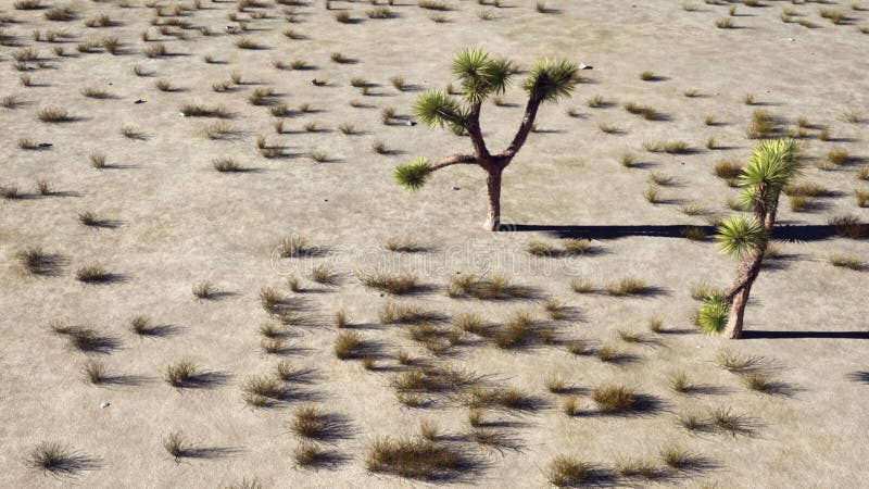 Top View Desert Landscape 3D Rendering Stock Illustration ...