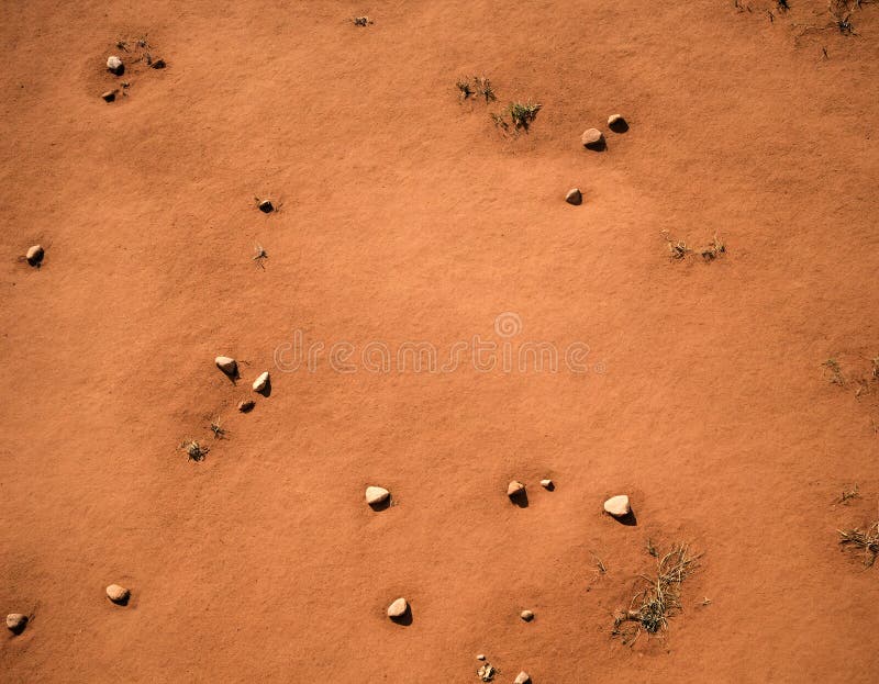 Withered Wasteland - the Ravages of Relentless Sun. Stock Illustration ...