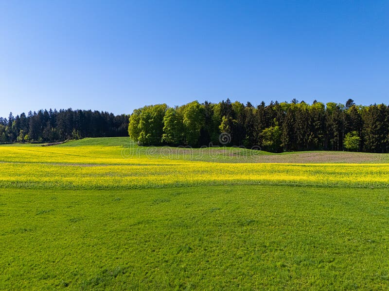 Acre Fiels Stock Photos - Free & Royalty-Free Stock Photos from Dreamstime