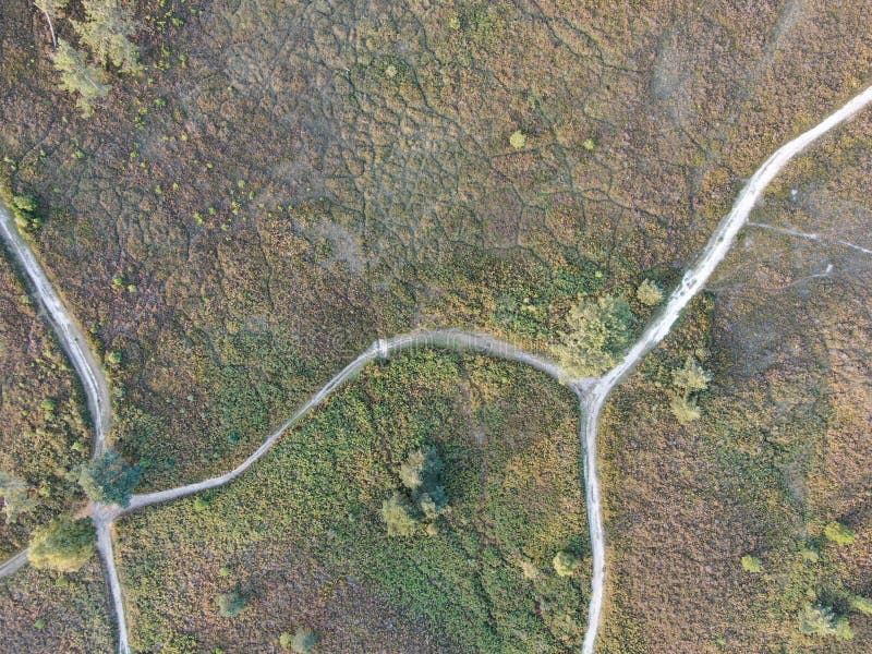 Aerial View from Directly Above of Winding Paths Across Heathland Stock ...
