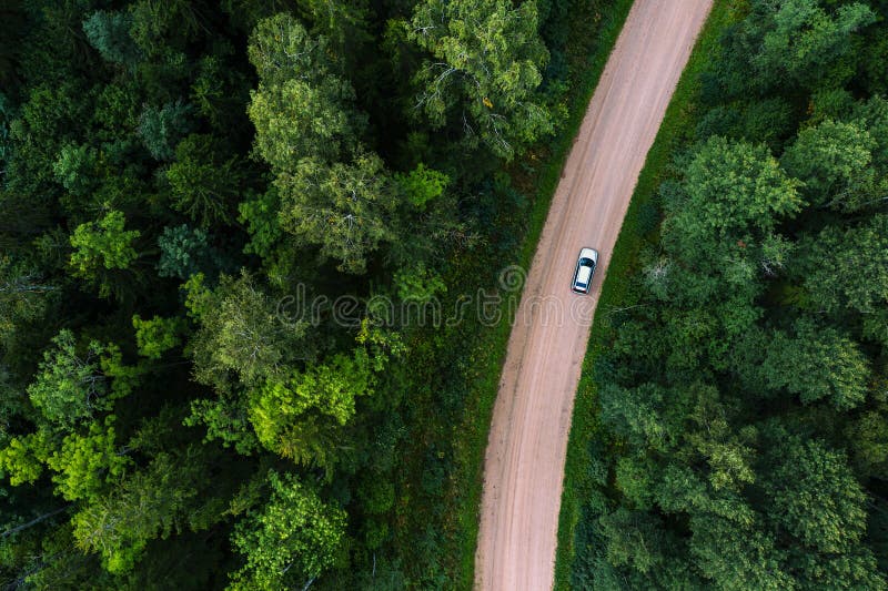 View of a Dirt Road Along a Corn Field in Louisiana Stock Photo - Image ...