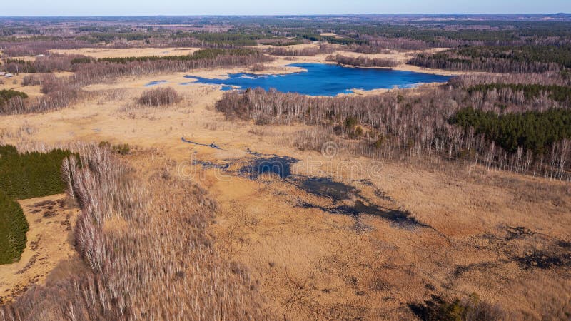 Aerial View of a Dried Swamp with Isolated Trees Climate Change and ...