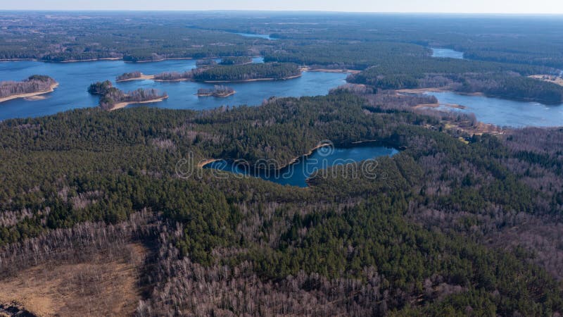 Aerial View of a Dried Swamp with Isolated Trees Climate Change and ...